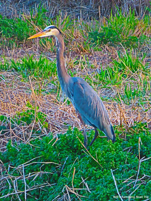 Planning Anxiety | Rob's Rambling Road Trip