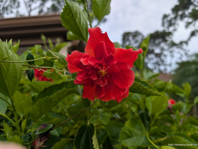 A Quick Trip to Florida’s West Coast | Rob's Rambling Road Trip